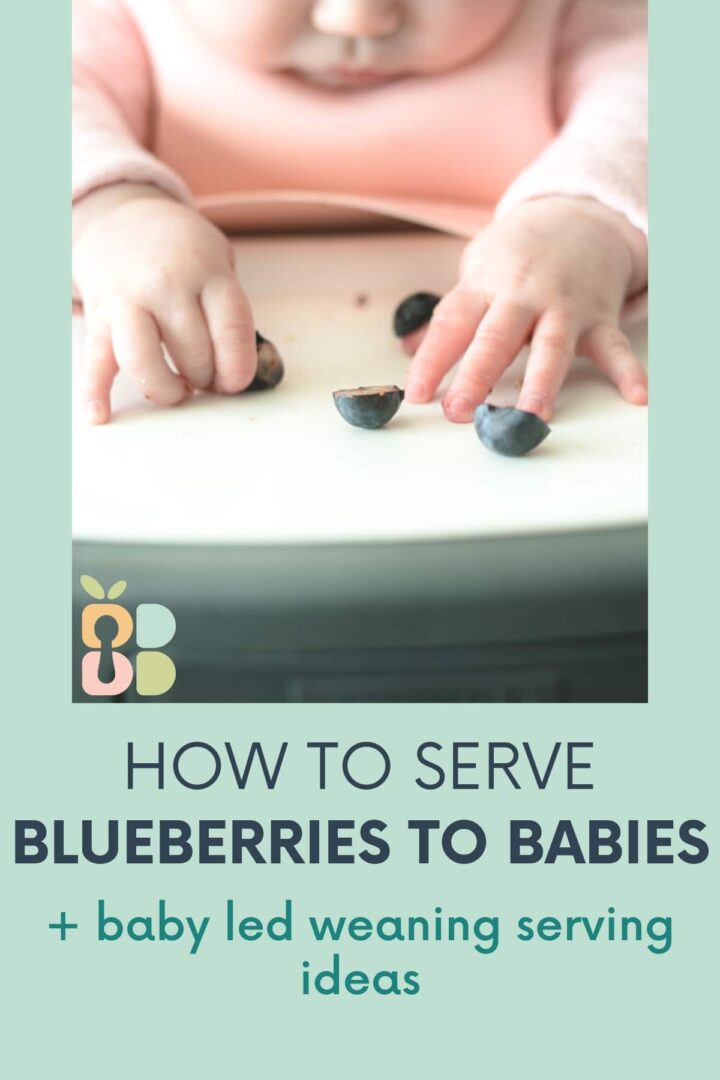 How To Serve Blueberries for Baby Led Weaning - Baby Led Bliss