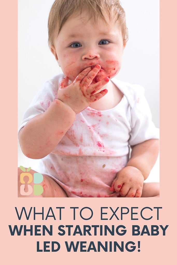 What To Expect With Baby Led Weaning - Baby Led Bliss