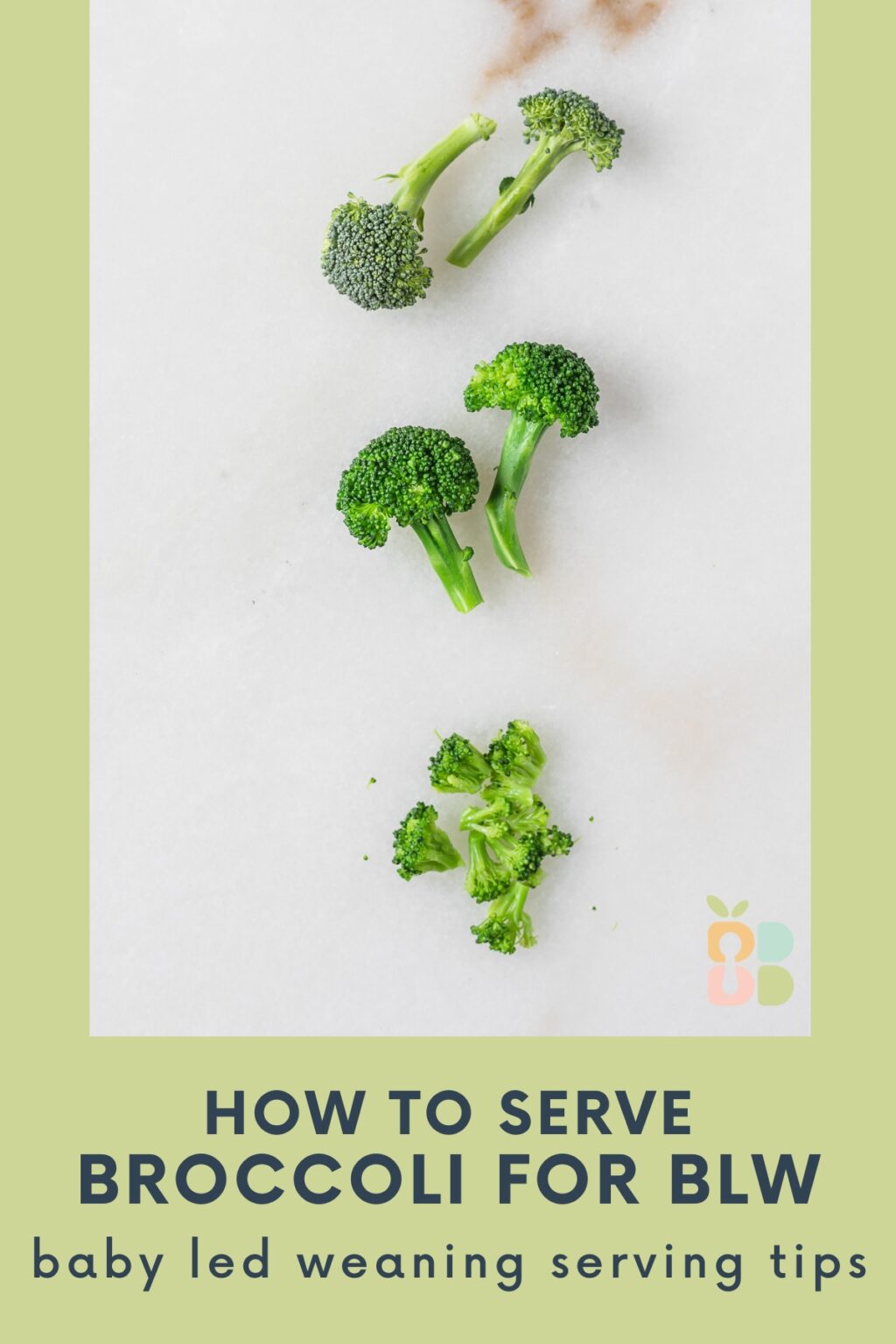 How To Serve Broccoli For Baby Led Weaning - Baby Led Bliss