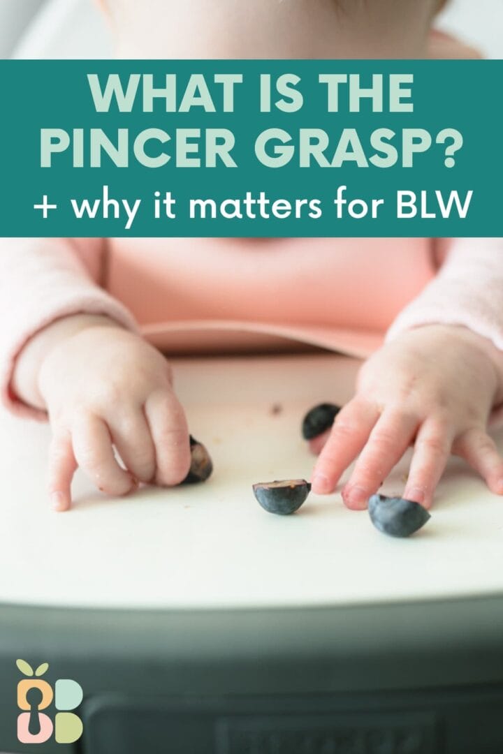 What Is A Pincer Grasp? - Baby Led Bliss