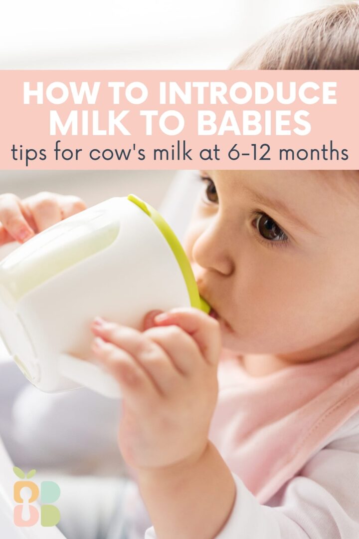 How To Introduce Cow's Milk To Babies - Baby Led Bliss