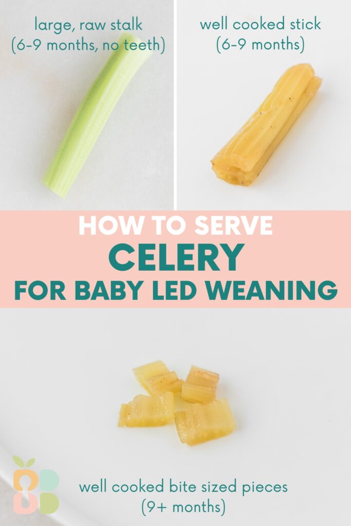 How To Serve Celery for Baby Led Weaning - Baby Led Bliss