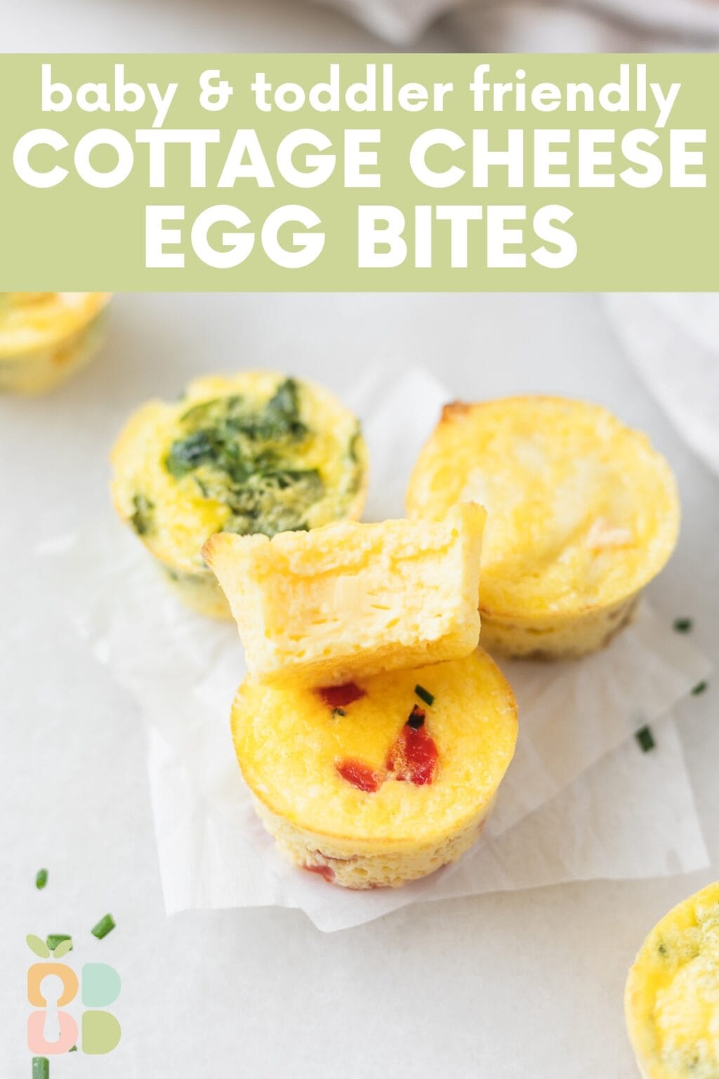 Baby Cottage Cheese Egg Bites - Baby Led Bliss
