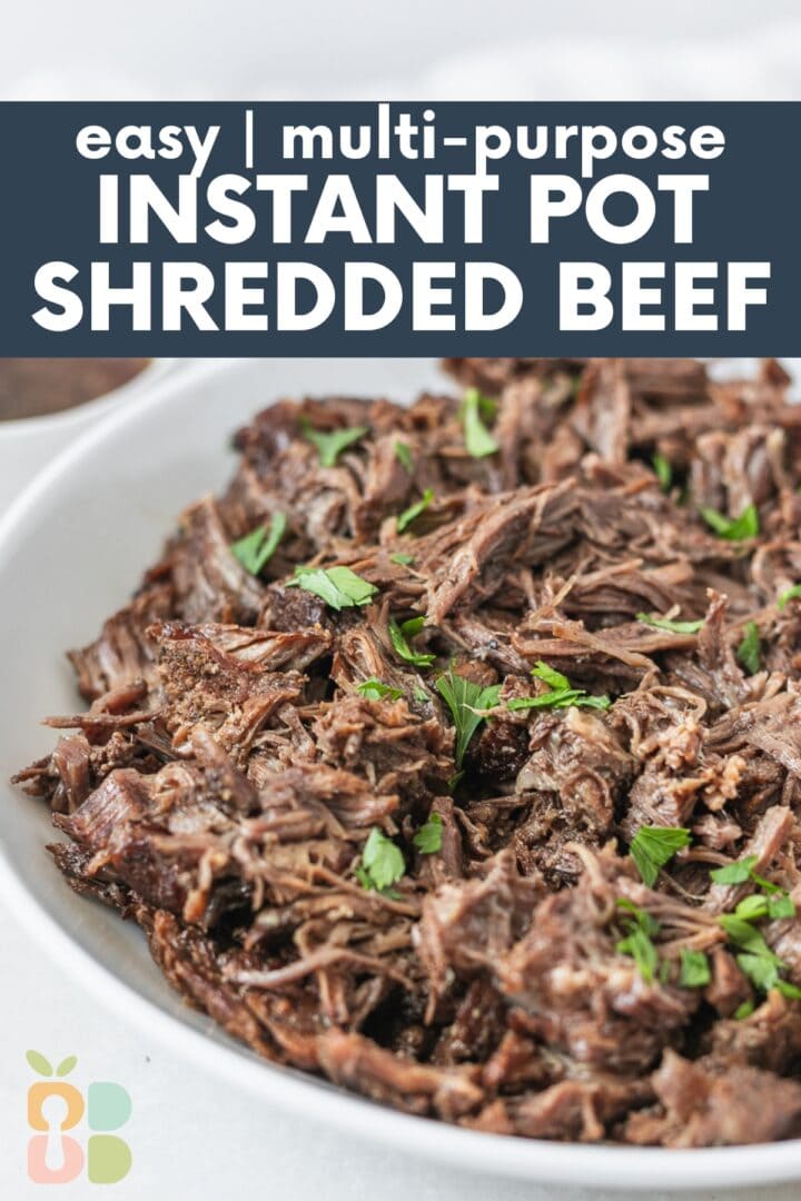 Baby Friendly Shredded Beef - Baby Led Bliss